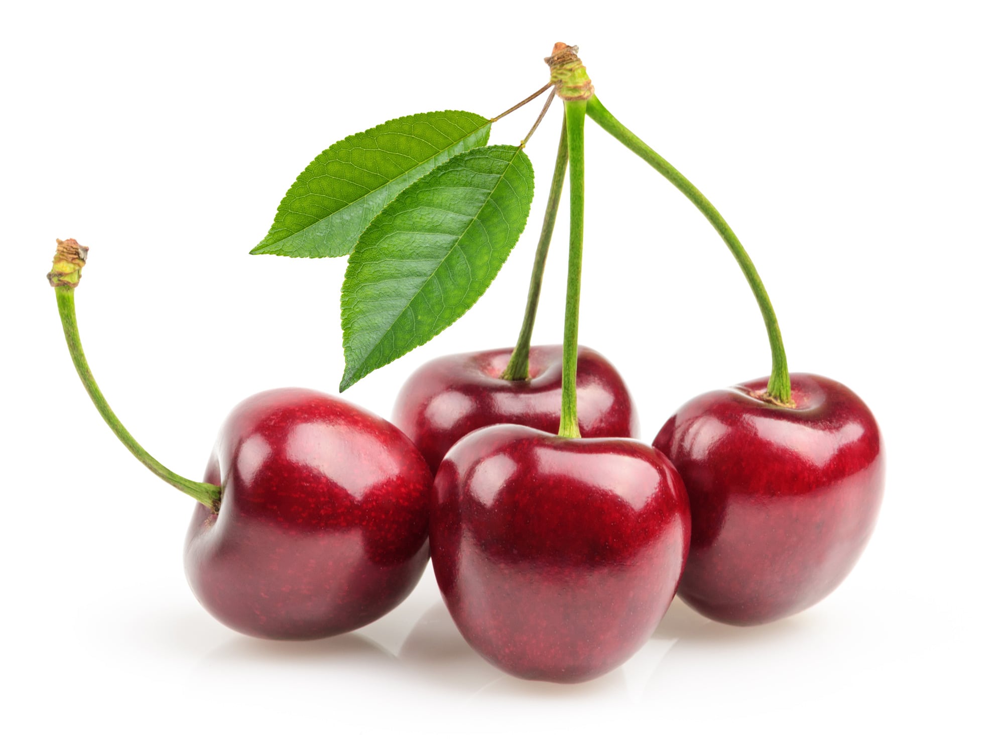 Cherry – Tose'e Tejarat Armani