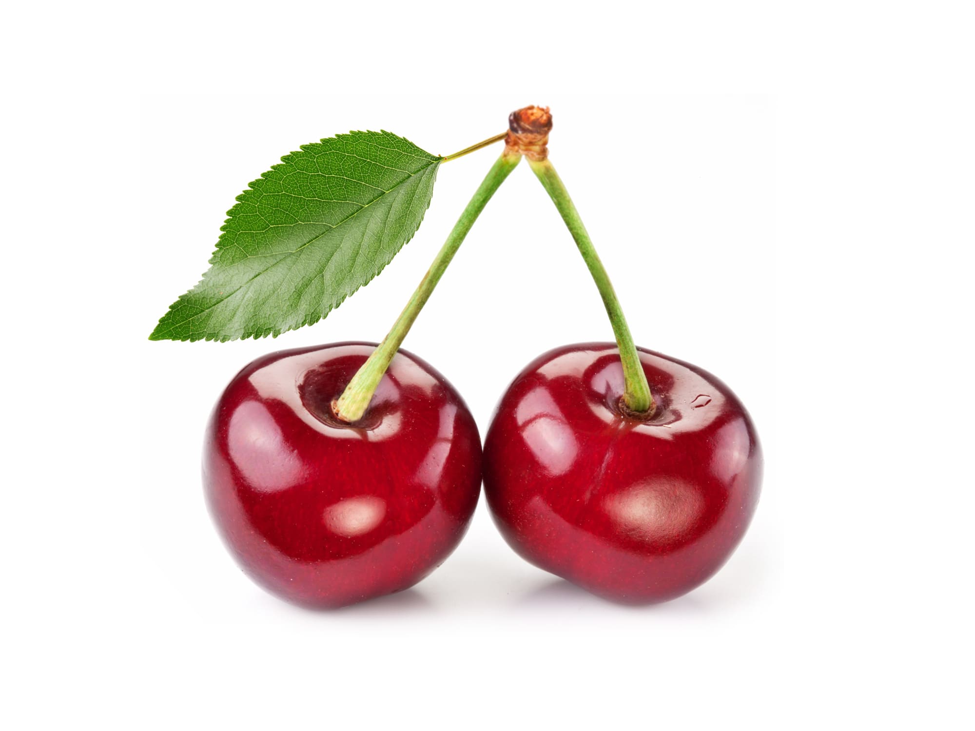 Cherry – Tose'e Tejarat Armani