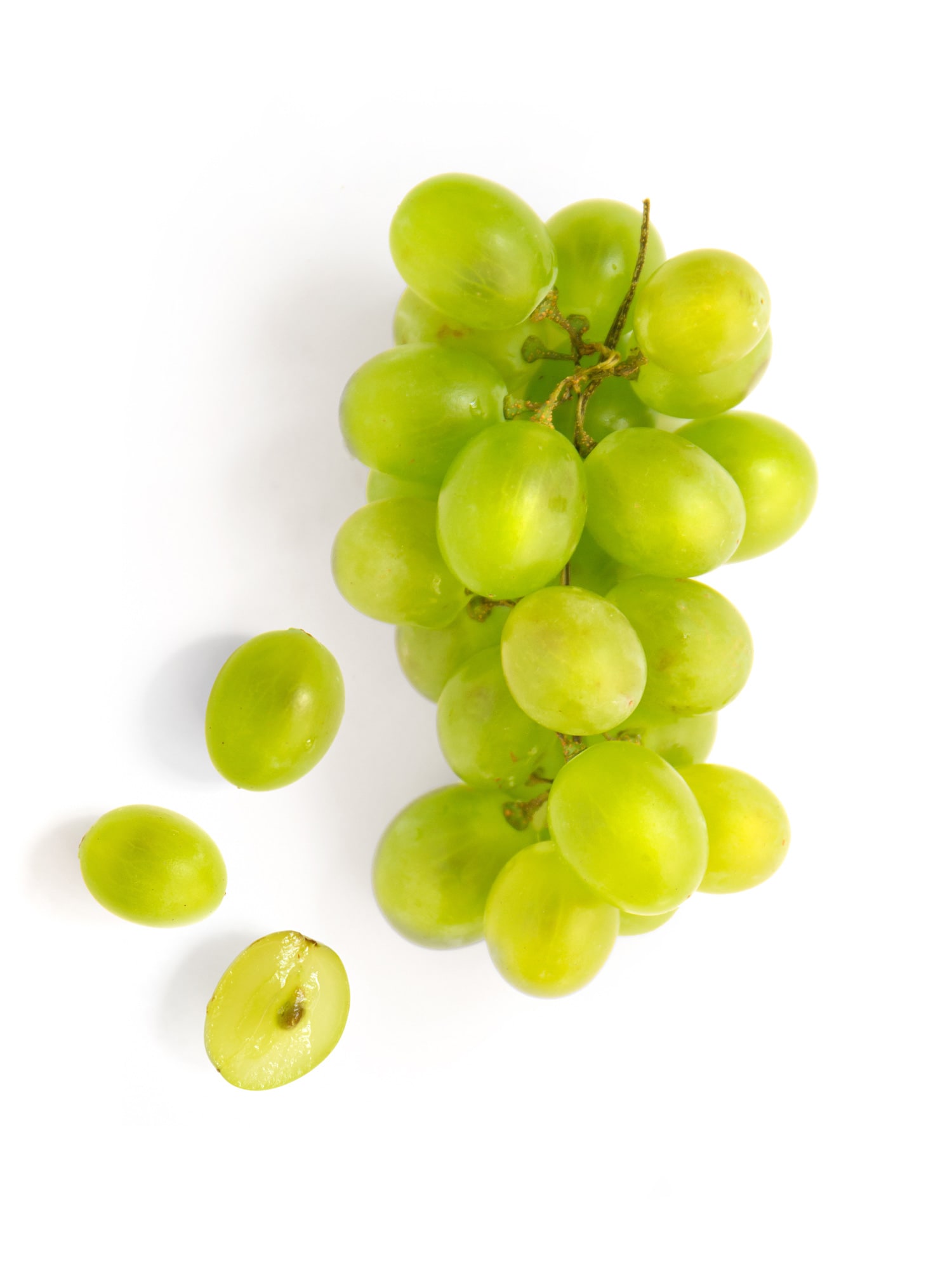 Grape – Tose'e Tejarat Armani